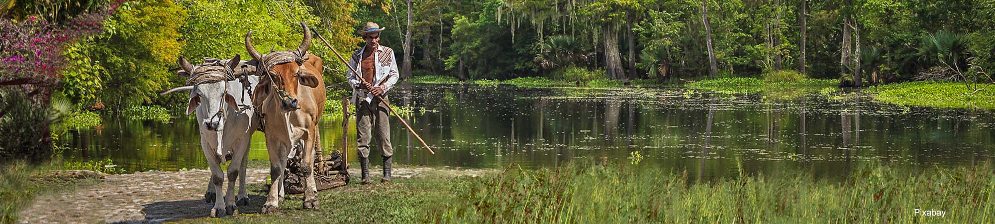 Land rights: settling land disputes through legal action :Action 4 Justice