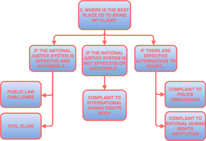 What Legal Options do I Have to Challenge an Arrest? - Action 4 Justice ...